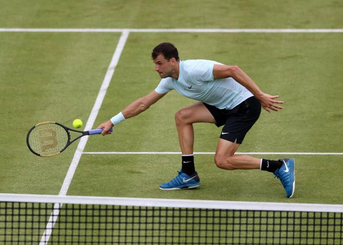 Pronostic Marc Polmans Grigor Dimitrov GRATUIT - Mallorca Championships ...
